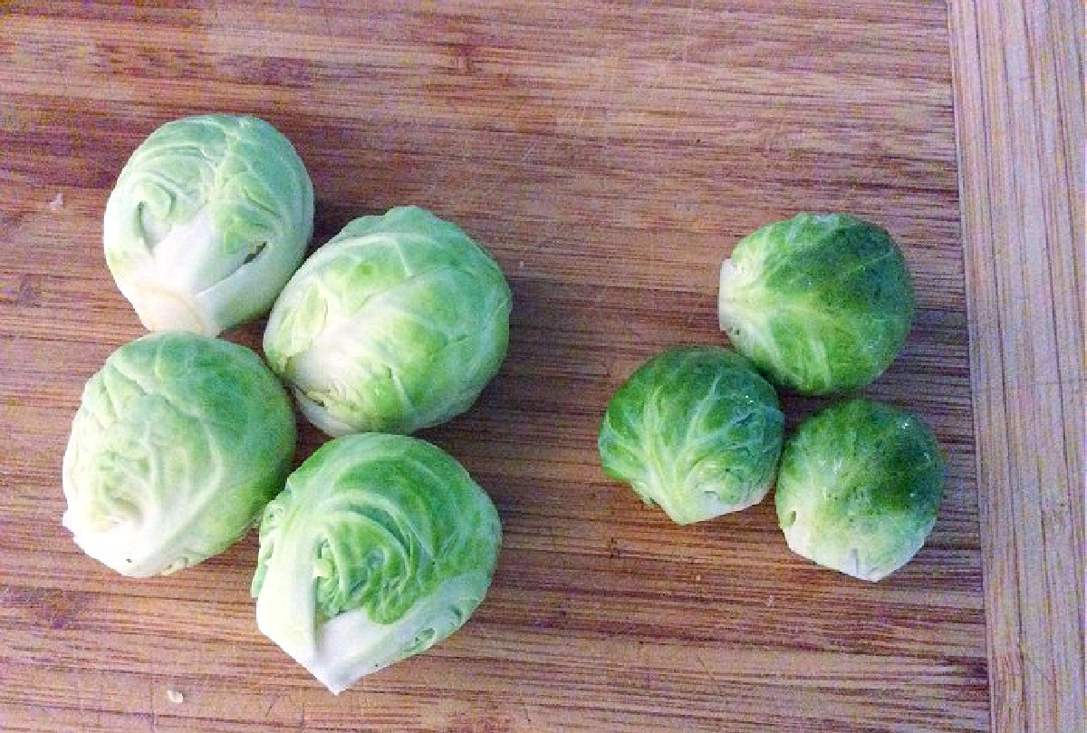 Easy Roasted Brussels Sprouts with Pancetta - Bluesky at Home