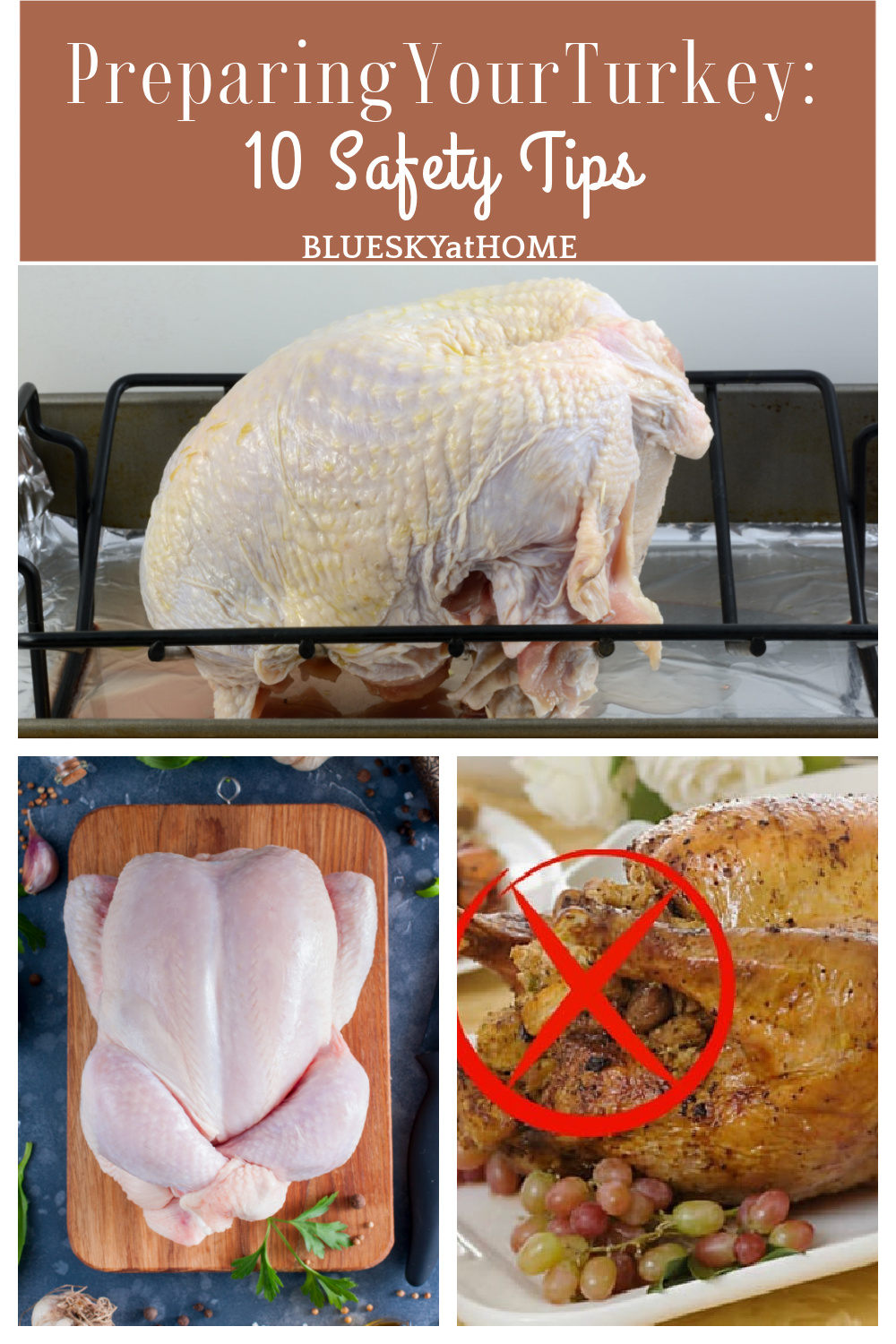 10 Important Safety Tips for Preparing Turkey - Bluesky at Home
