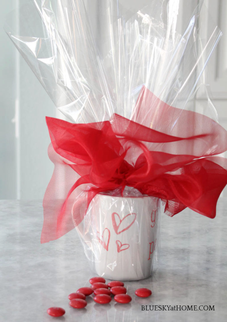 Cute and Inexpensive DIY Valentine's Gift Project - Bluesky at Home