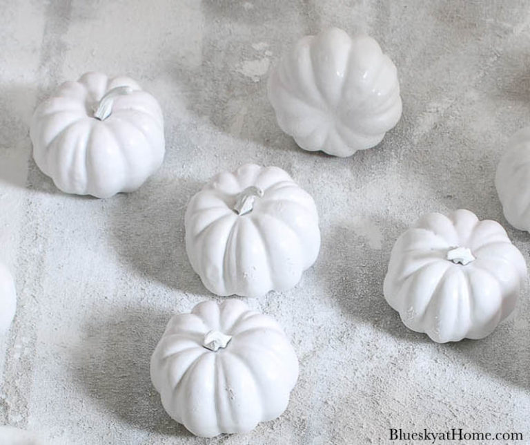 Easy Spray Paint Ideas for Fall Decorations - Bluesky at Home