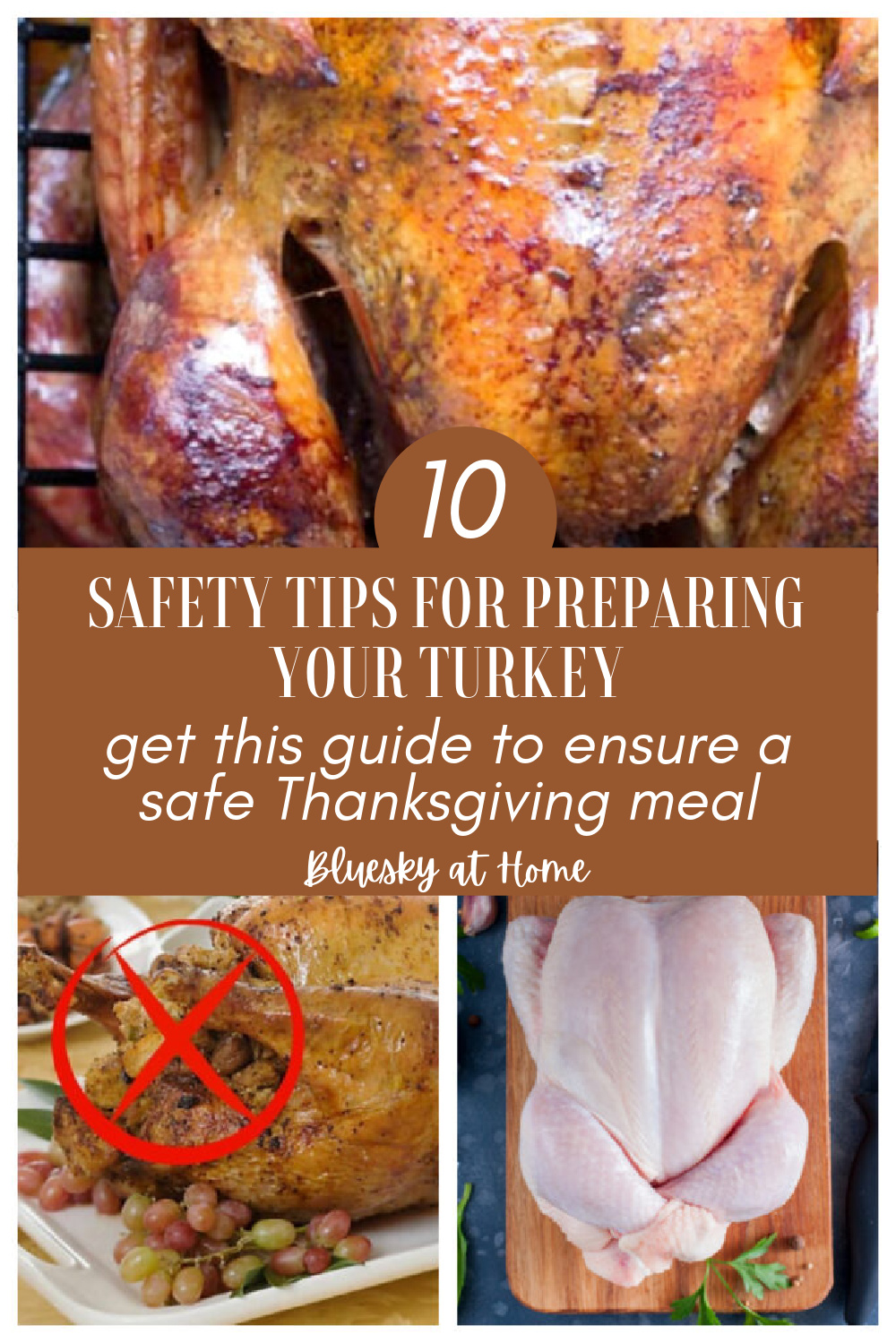10 Important Safety Tips for Preparing Turkey - Bluesky at Home