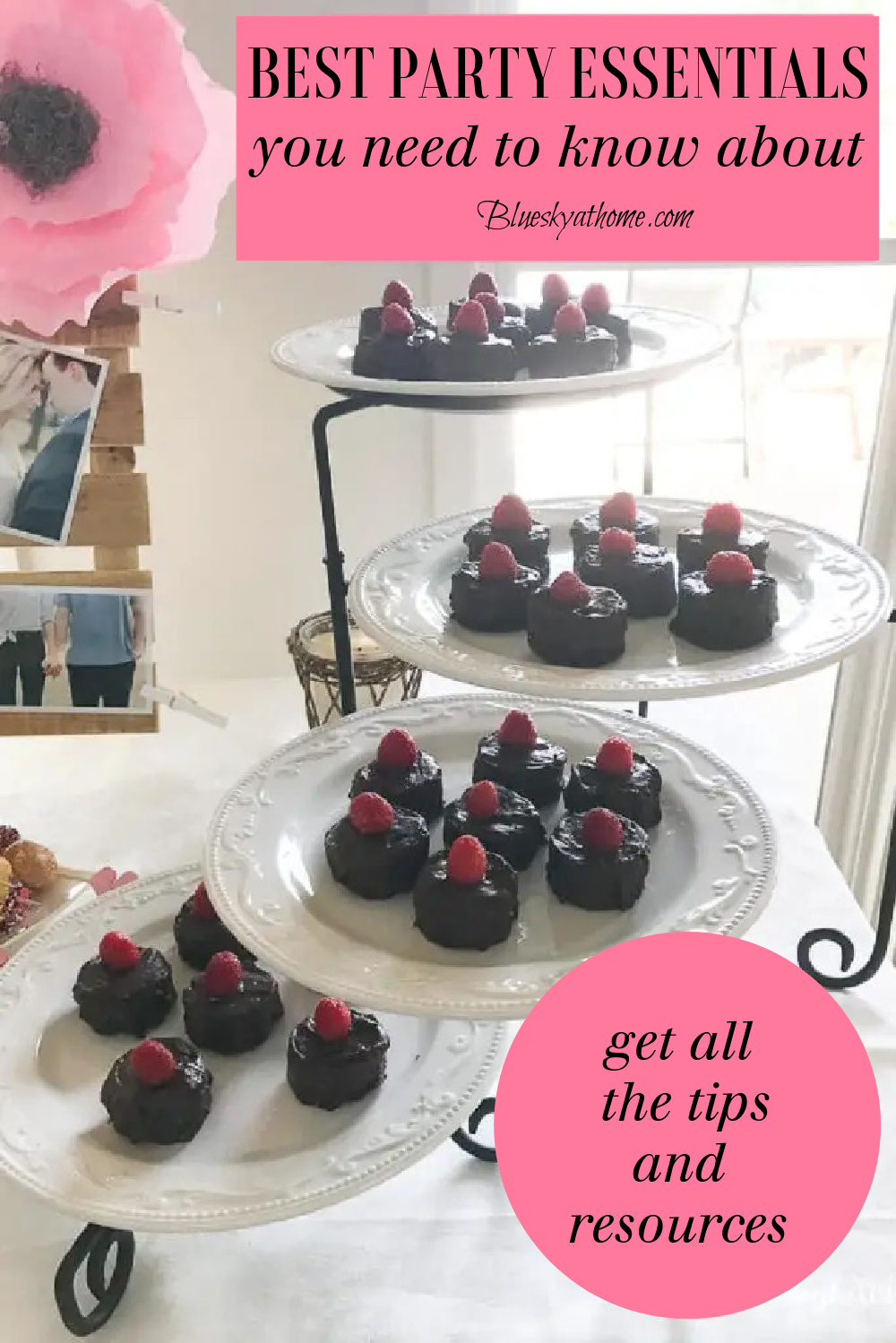 My Favorite Must-Have Party Essentials - Bluesky at Home