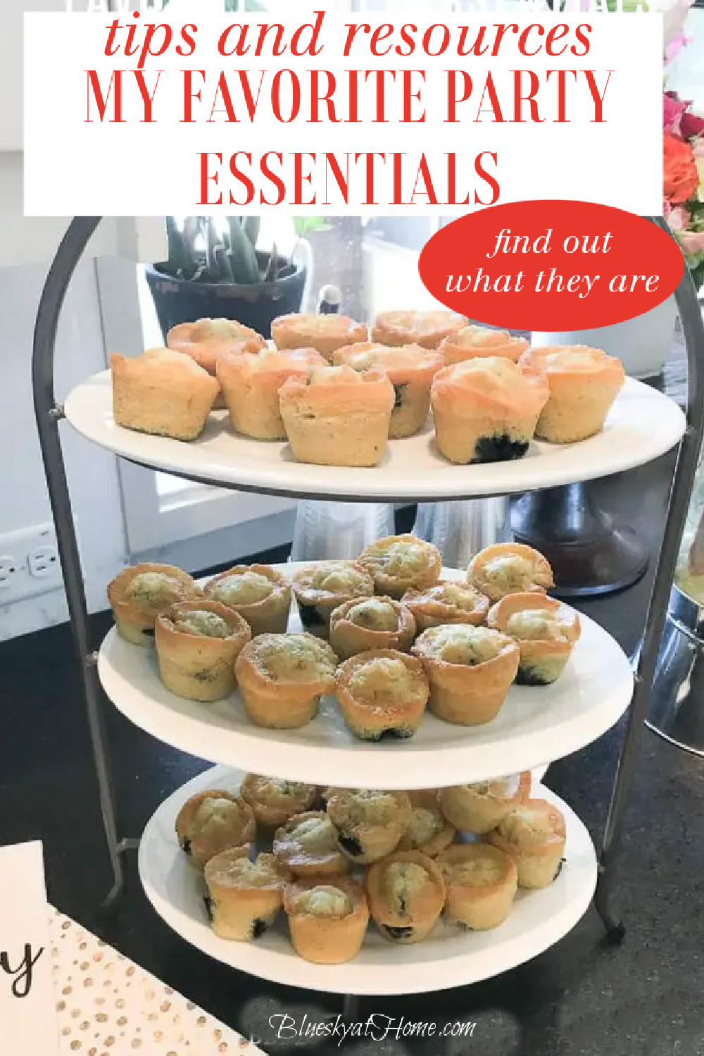 My Favorite Must-Have Party Essentials - Bluesky at Home