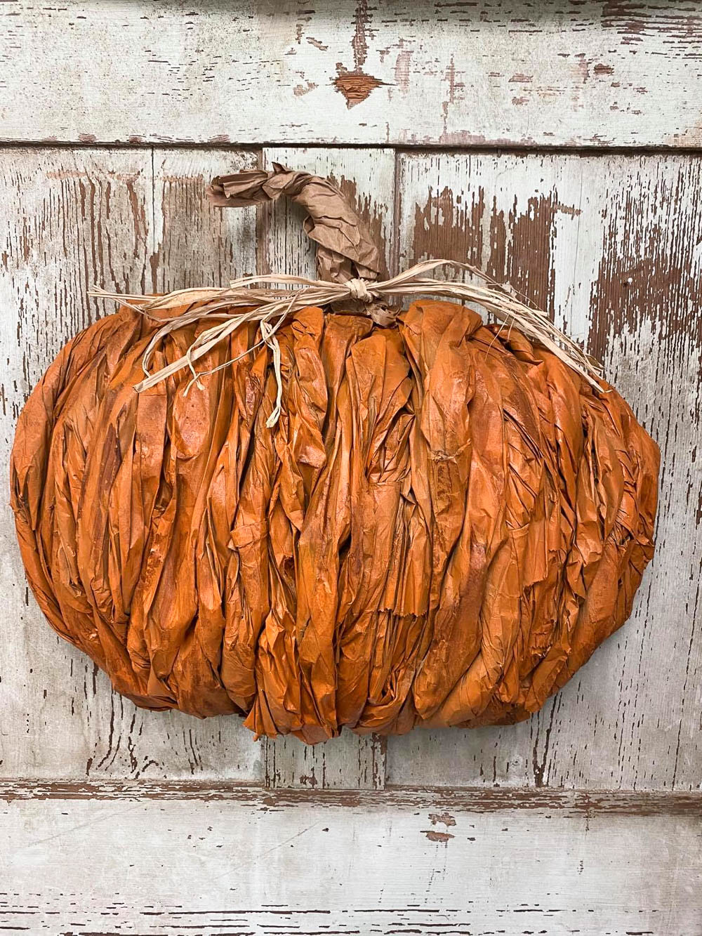 10 Best DIY Pumpkin Crafts for Fall - Bluesky at Home