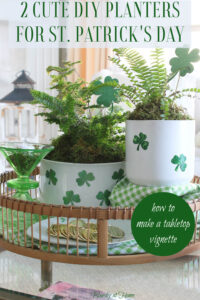 2 Cute DIY Planters for St. Patrick's Day - Bluesky at Home
