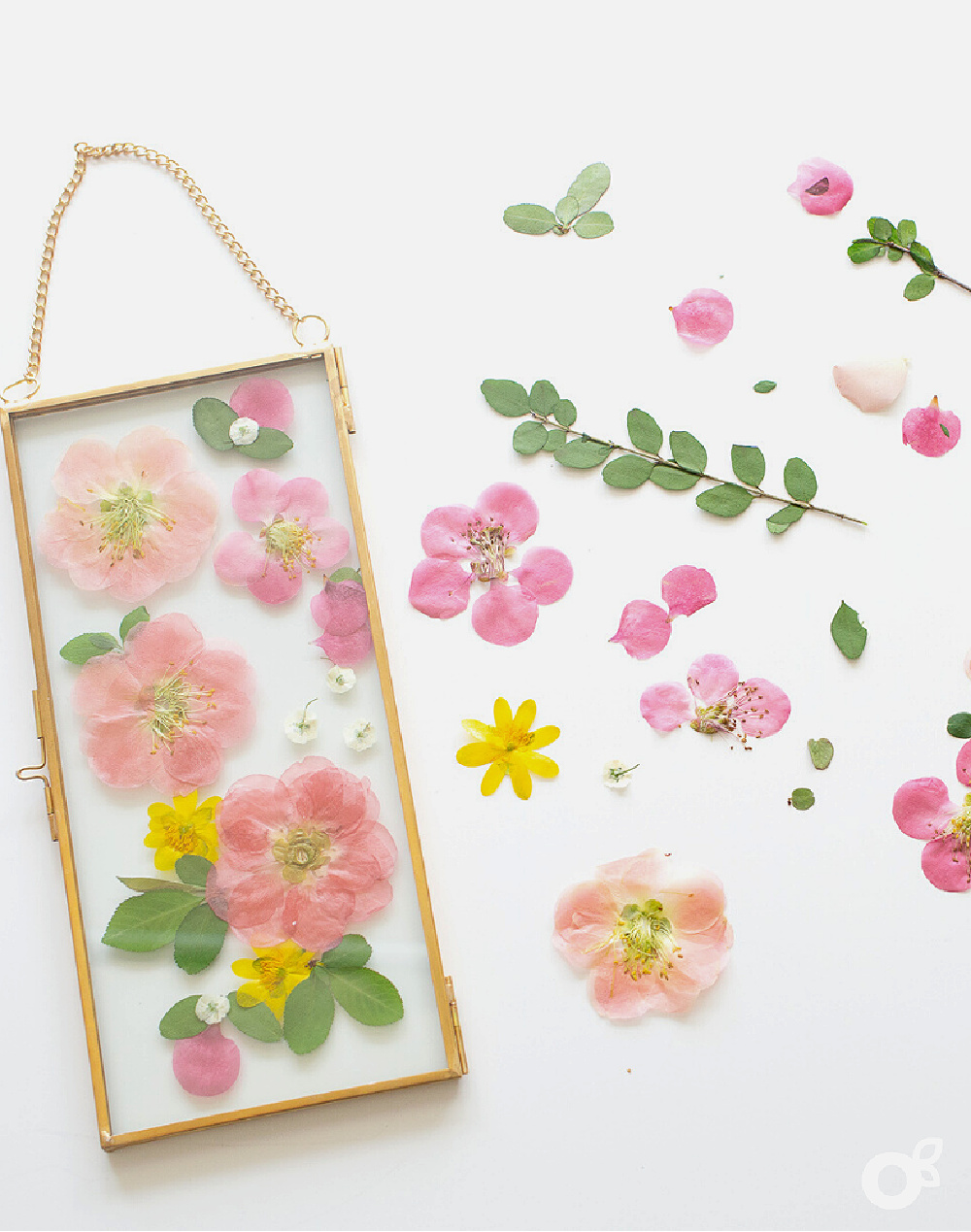 15 Fabulous DIY Pressed Flower Projects - Bluesky at Home