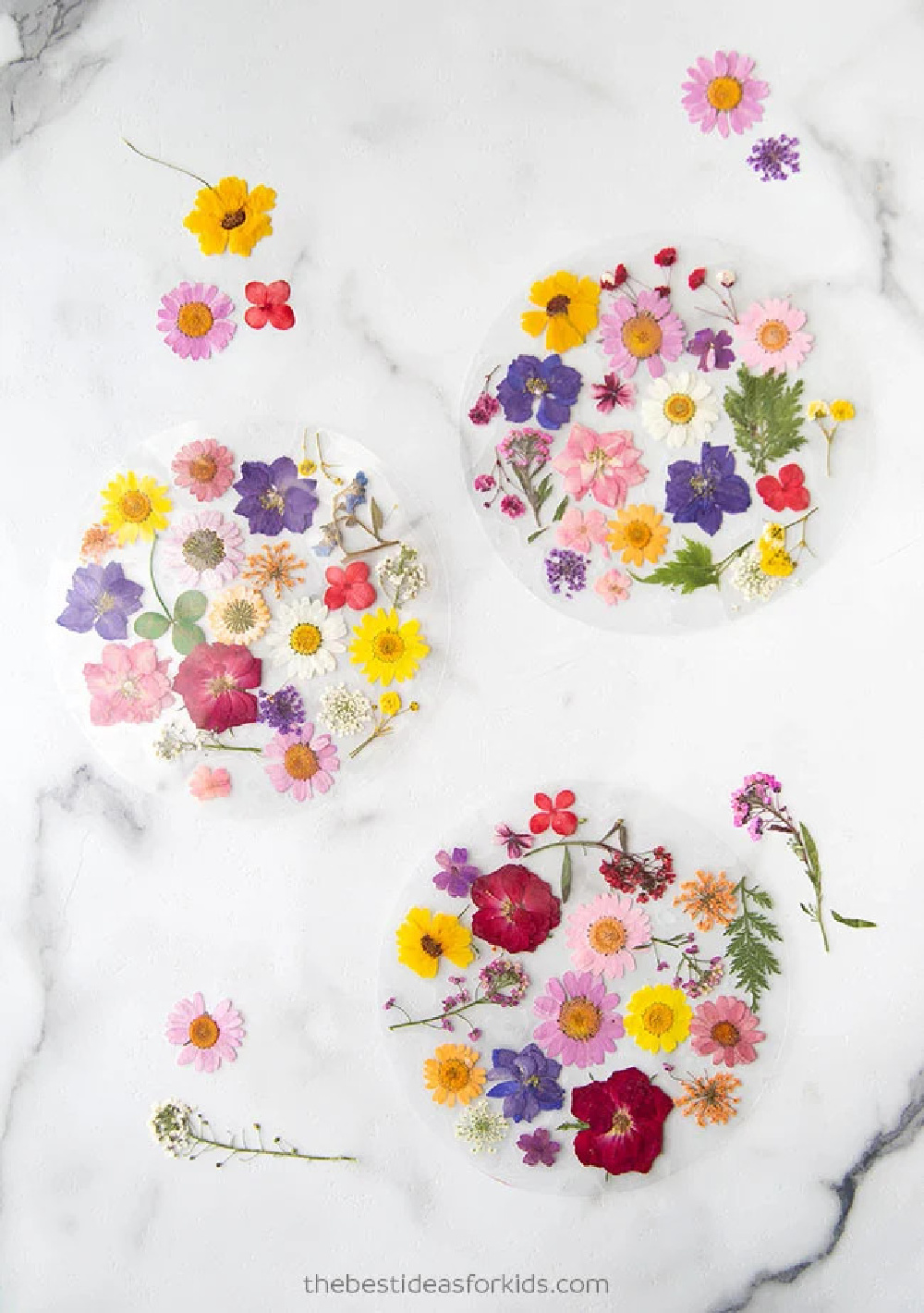 15 Fabulous DIY Pressed Flower Projects - Bluesky at Home