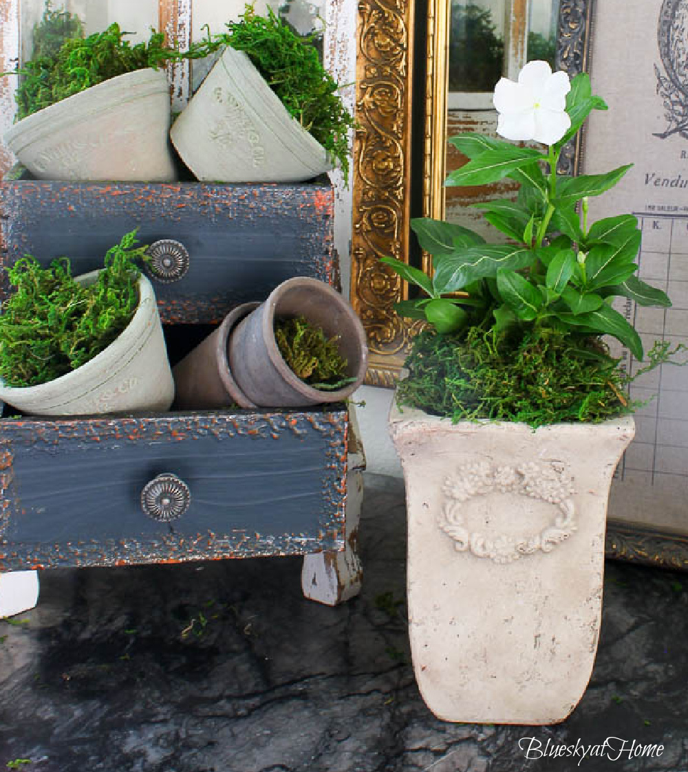 10 Essential Interior Design Elements for Your Home - Bluesky at Home
