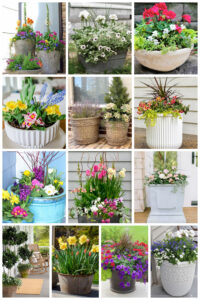 13 Beautiful Spring Plants and Planters - Bluesky at Home