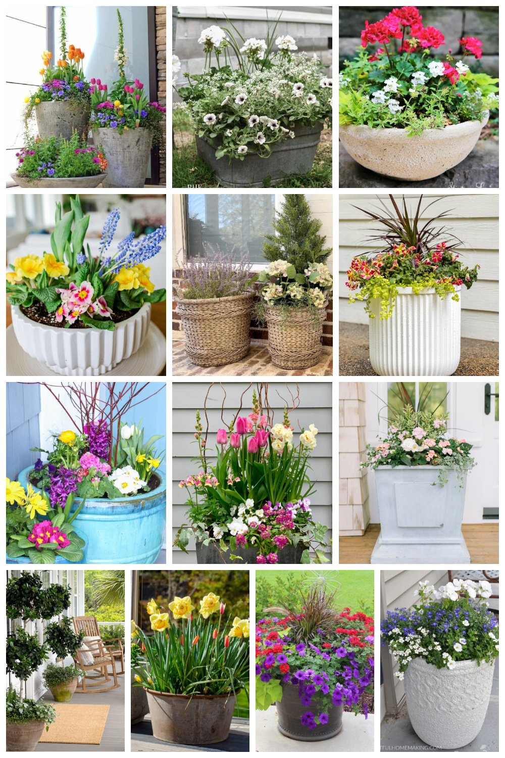 13 Beautiful Spring Plants and Planters - Bluesky at Home