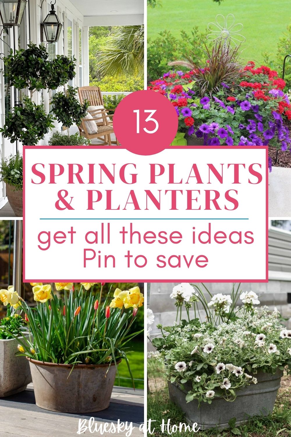 13 Beautiful Spring Plants and Planters - Bluesky at Home