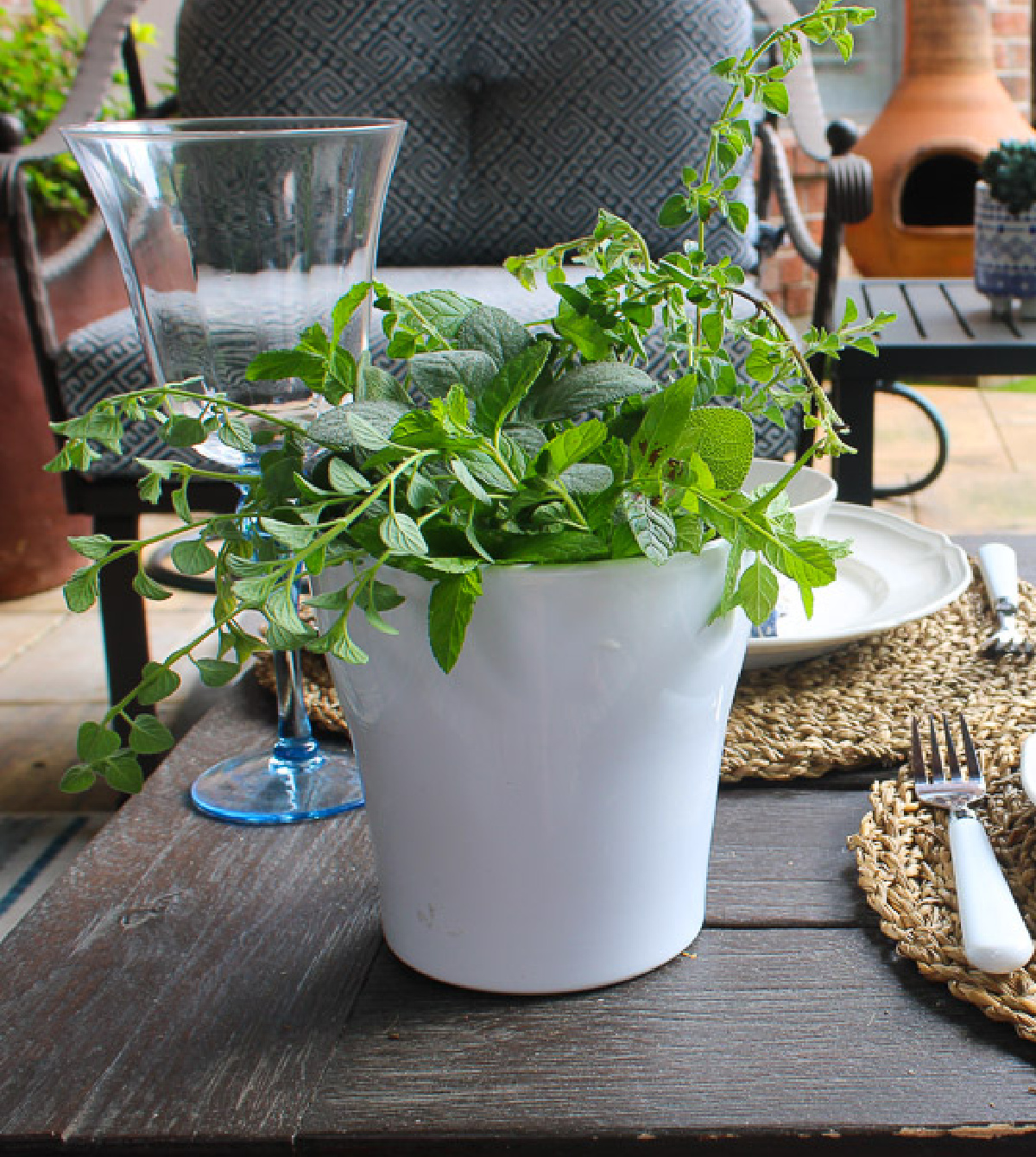 Sophisticated and Simple Summer Outdoor Tablescape - Bluesky at Home
