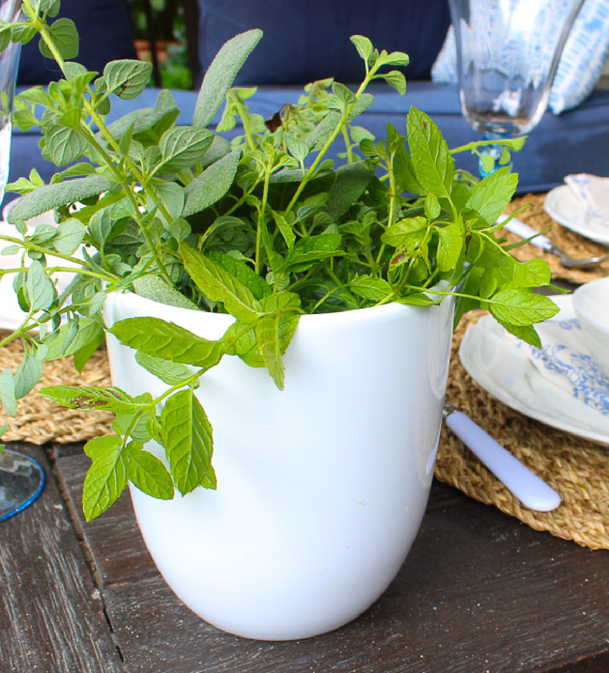 Sophisticated and Simple Summer Outdoor Tablescape - Bluesky at Home