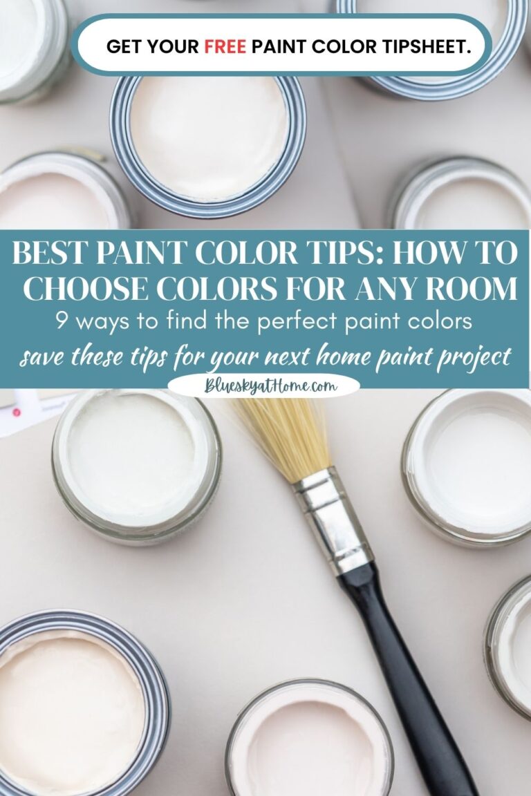 9 Tips for Choosing the Best Paint Color for Your Home - Bluesky at Home