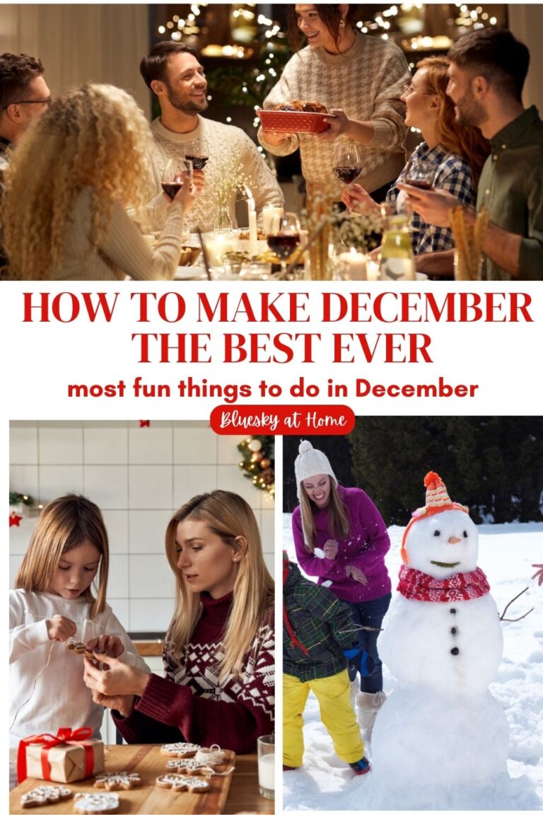 The Best Fun Things to Do in December - Bluesky at Home